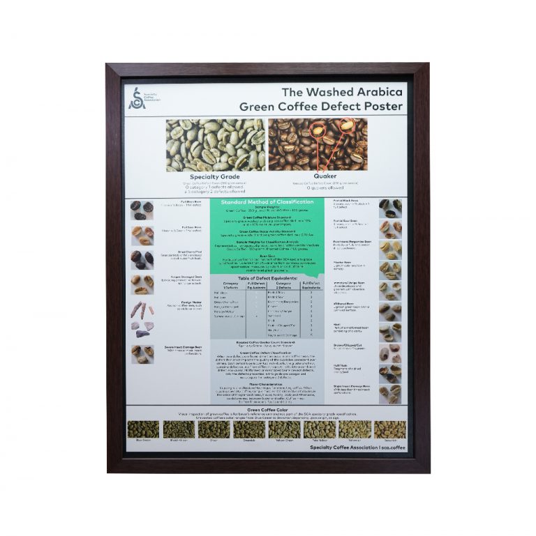 Identify Green Bean Defect Booklet | SCITH