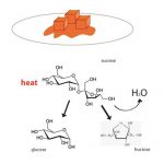 Caramelization & Maillard Reaction | SCITH