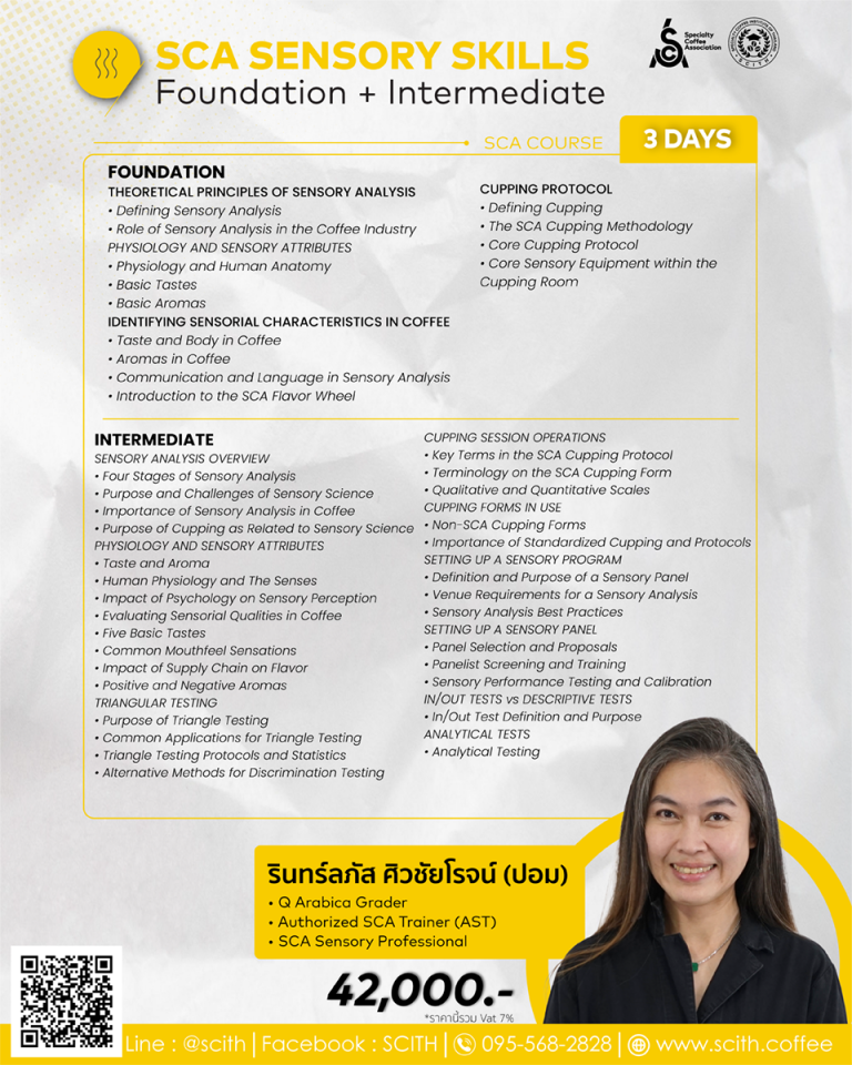 SCA Sensory Skills FD+IN | SCITH