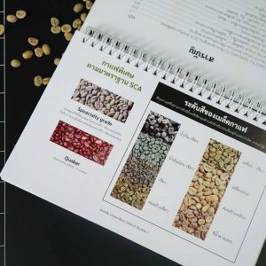 Identify Green Bean Defect Booklet | SCITH