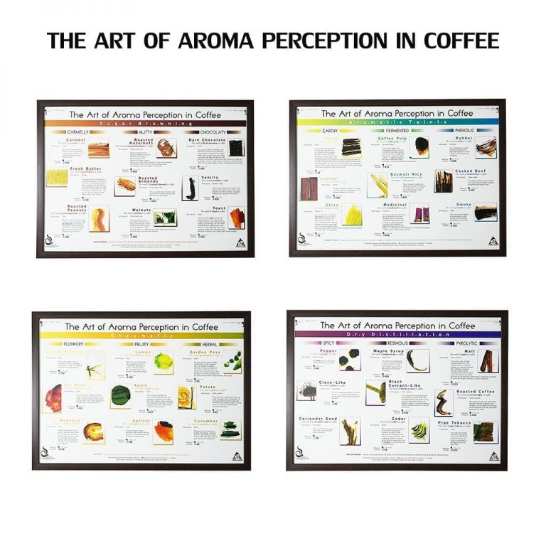 The Art Of Aroma Perception in Coffee Set 4 ชิ้น | SCITH