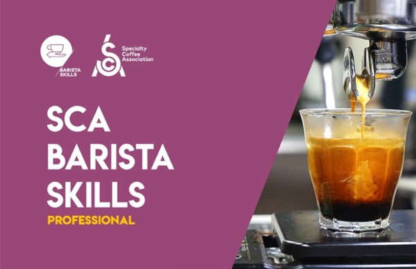 SCA Barista Professional | SCITH