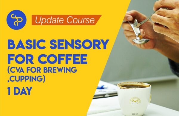 Basic Sensory for Coffee – (CVA for Brewing , Cupping) | SCITH
